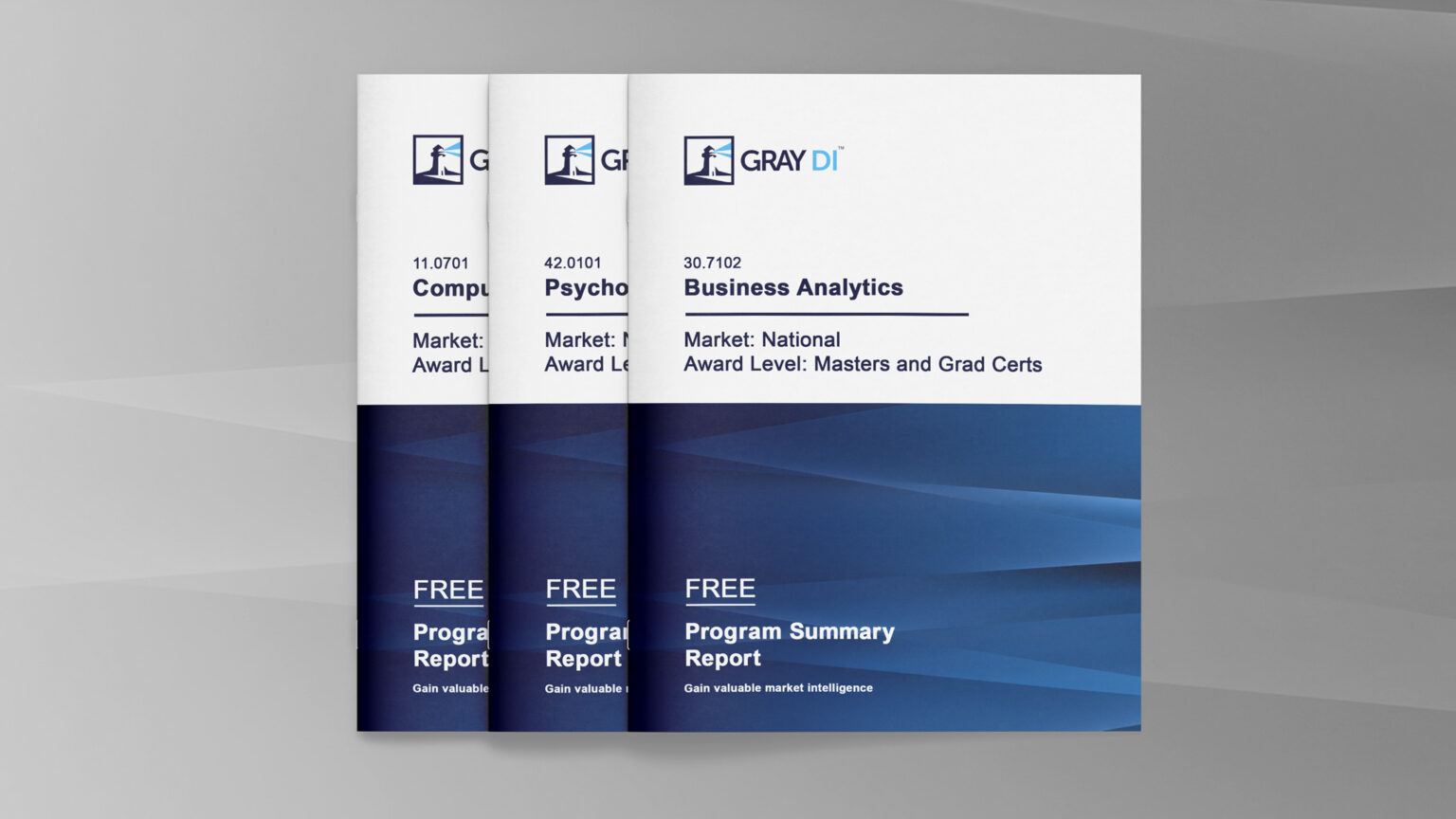 Complimentary Program Summary Report - Gray Decision Intelligence