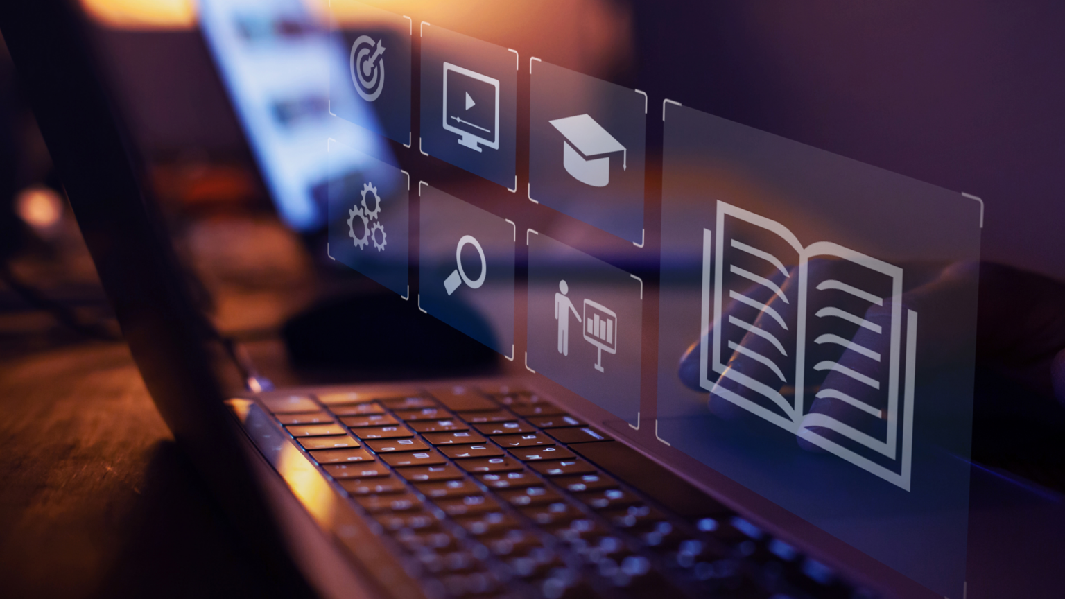 About - Gray Decision Intelligence